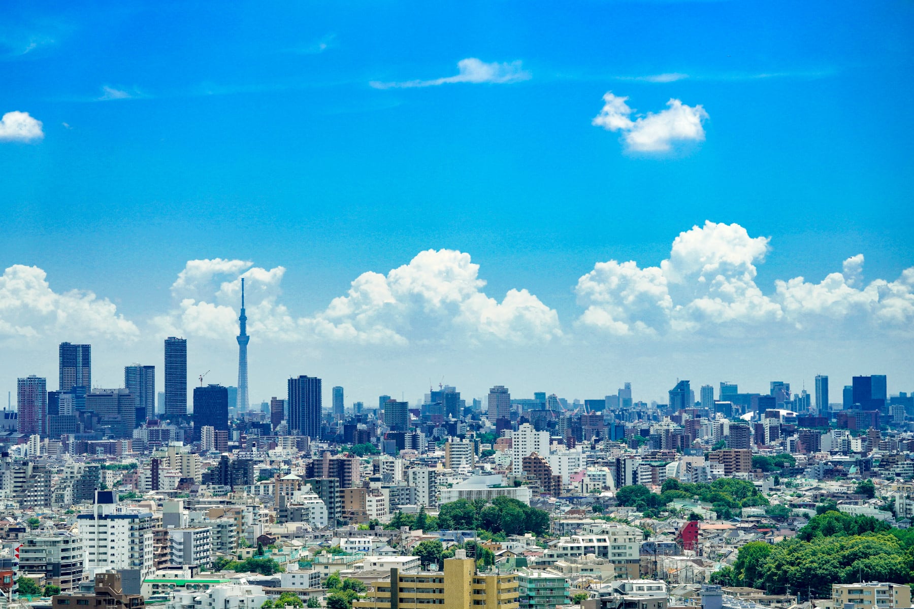 Tabigo Japan - Top Things Malaysians Should Know About Summer in Japan